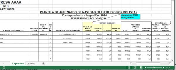 Formato de Planilla Doble Aguinaldo - Bolivia Impuestos Blog