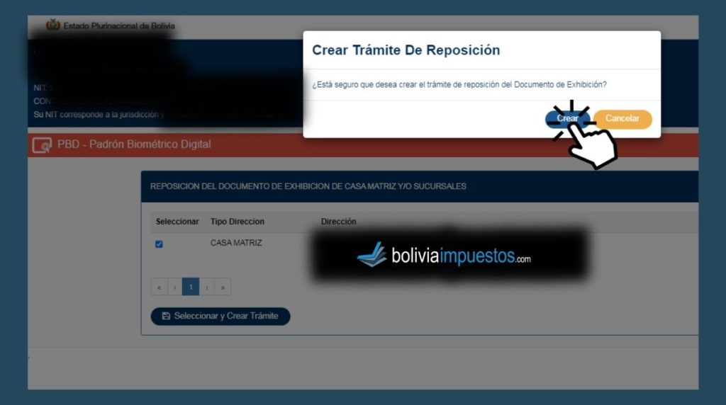 Sacaste el NIT, pero ¿no sabes cómo imprimirlo? - Bolivia Impuestos Blog