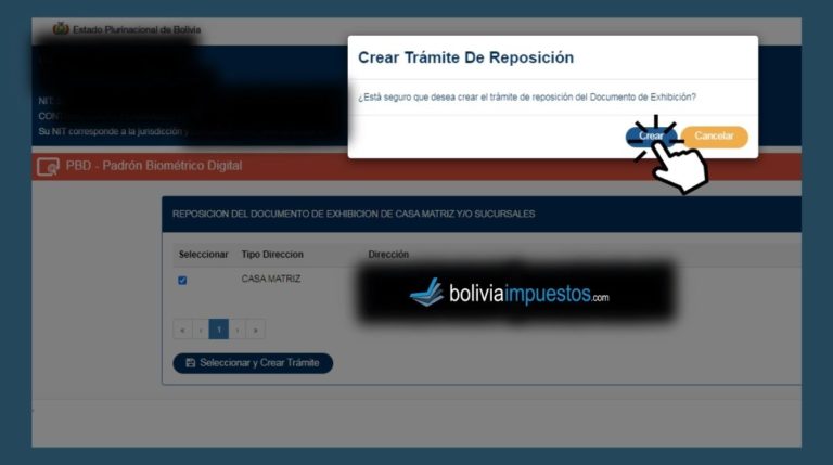 Sacaste el NIT, pero ¿no sabes cómo imprimirlo? - Bolivia Impuestos Blog
