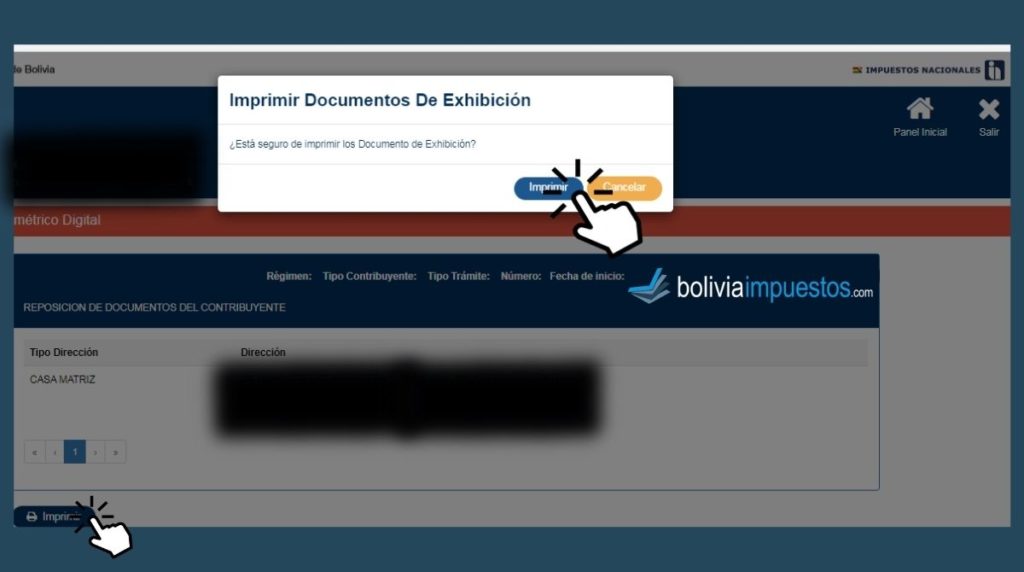 Sacaste el NIT, pero ¿no sabes cómo imprimirlo? - Bolivia Impuestos Blog
