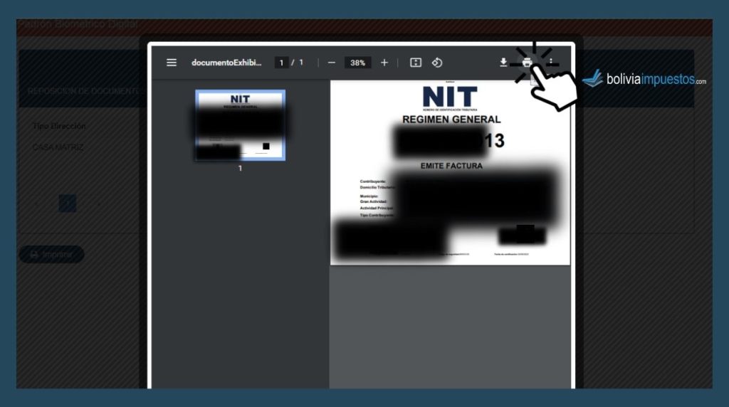 Sacaste el NIT, pero ¿no sabes cómo imprimirlo? - Bolivia Impuestos Blog
