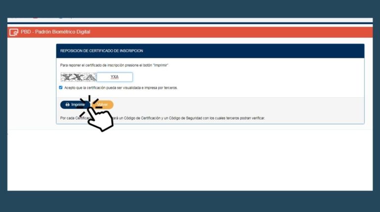 Sacaste el NIT, pero ¿no sabes cómo imprimirlo? - Bolivia Impuestos Blog