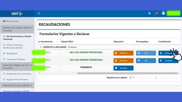 La importancia de imprimir los formularios declarados