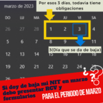 Obligaciones después de inactivar NIT,si doy de baja mi NIT